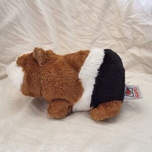 GANZ | Toys | Webkinz Guinea Pig | Poshmark